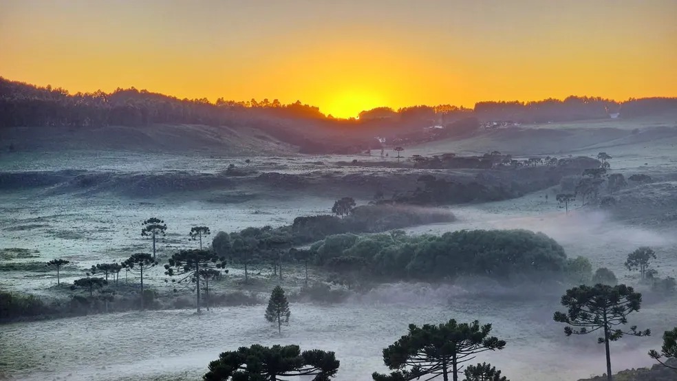 Serra catarinense amanhece com geada e temperaturas abaixo de 5°C