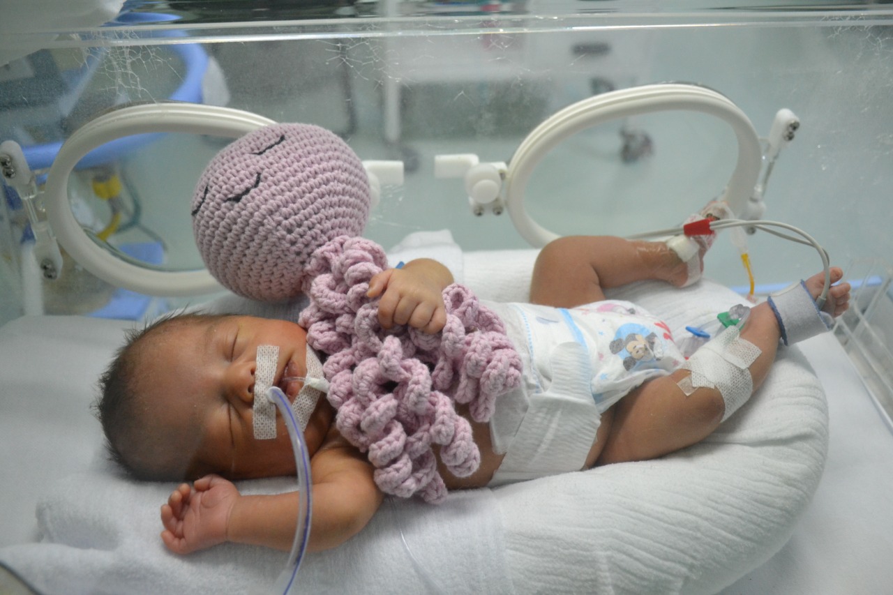 Ensaio fotográfico com bebês da UTI Neonatal do HRSP marca o mês da ...