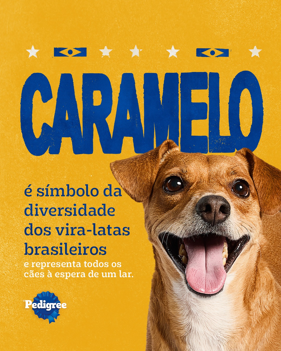 Pedigree lança campanha para reconhecimento do vira-lata caramelo